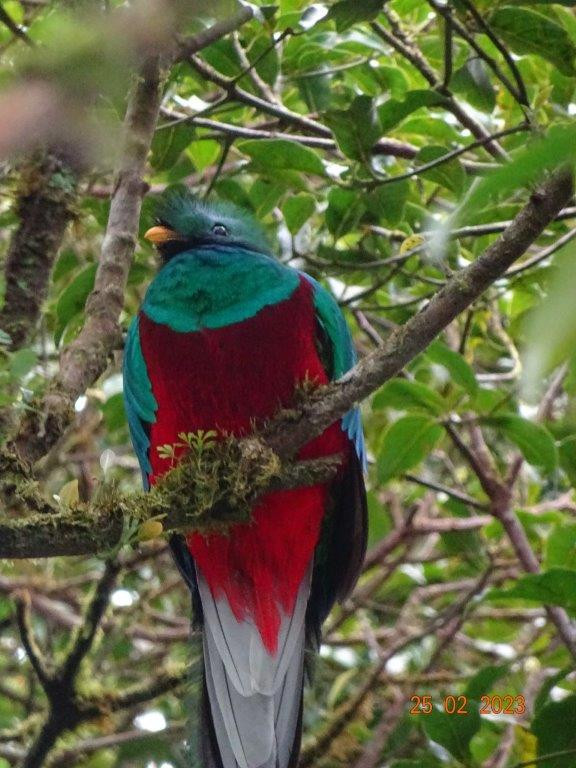 MIJN FOTO | Groetjes uit Costa Rica | Foto | AD.nl