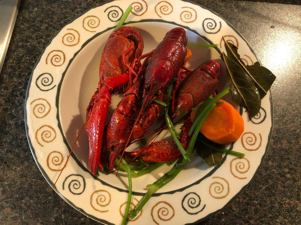 In dit Arnhemse park krioelt het van de kreeften, en je kunt ze nog ...