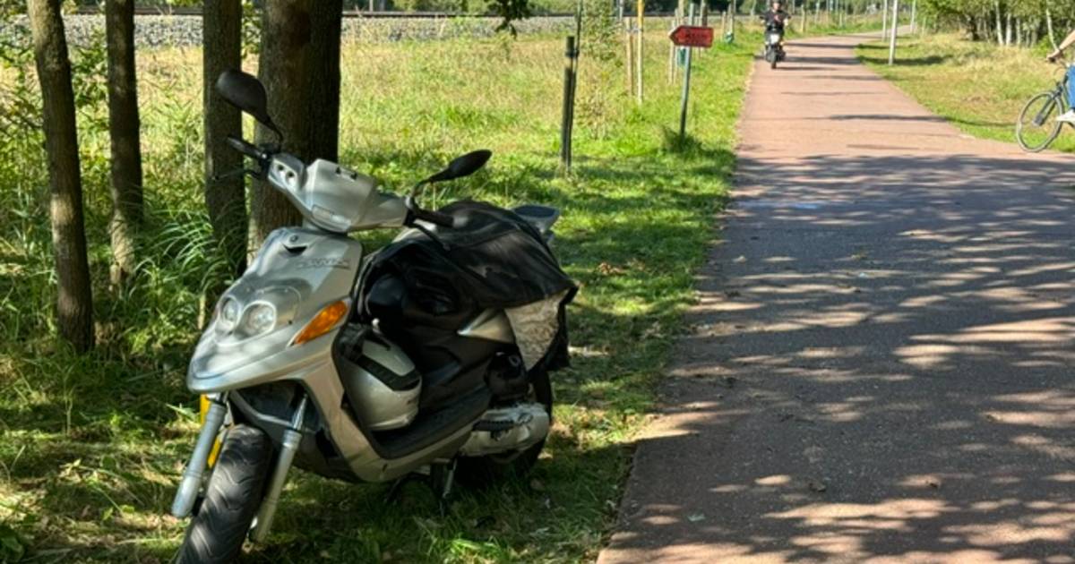 Fietser (50) in levensgevaar na botsing met brommer in Niel | Antwerpen ...