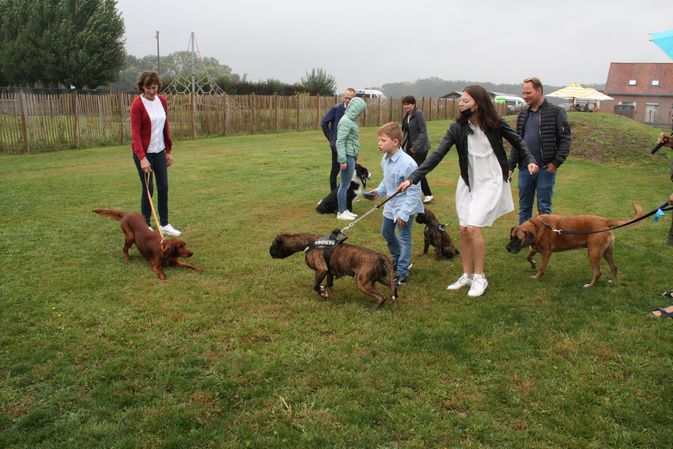 IN BEELD. Avontuur voor de viervoeters, hotdogs voor de baasjes ...