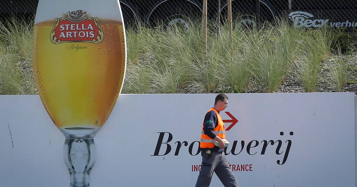 Bak bier bijna kwart duurder, bij sommige merken zelfs stijging van 56 ...