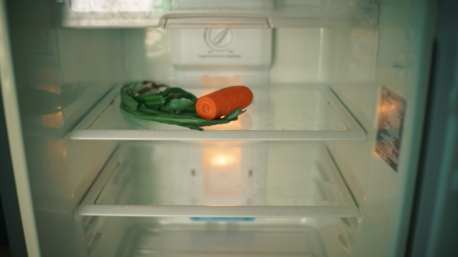 Minima met oude koelkast krijgen ook in Druten een nieuwe | Foto ...