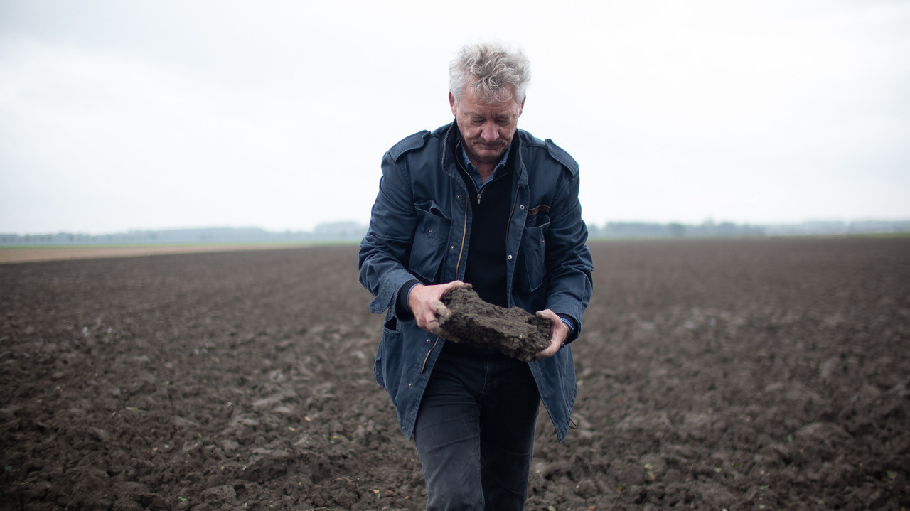 Kunst of klimmuur: kluiten aarde in Tweede Kamer kosten 200.000 euro ...