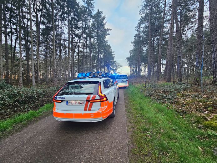 Fietser (24) komt om het leven vlak bij Hoogstraten na aanrijding met vrachtwagen | Buitenland ...