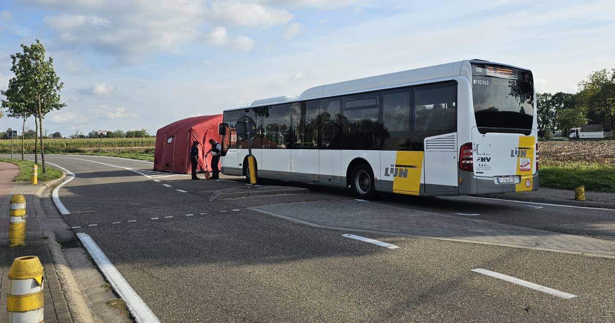 Un cycliste de 83 ans meurt percuté par un bus De Lijn | Faits divers | 7sur7.be