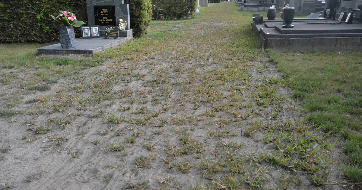 Kritiek op 'grindgras' begraafplaatsen | Sint-Gillis-Waas | hln.be