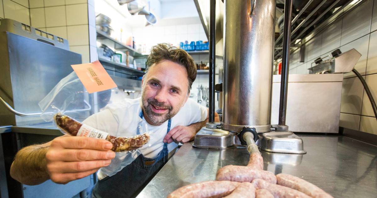 Hagenaars kunnen genieten van Haagse Harde | Den Haag | AD.nl