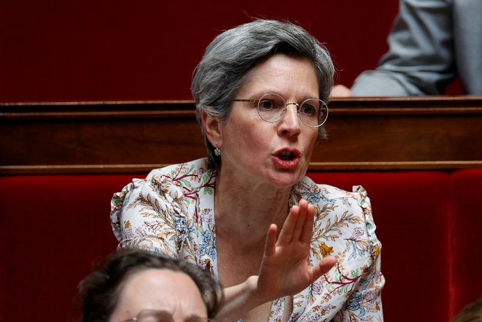 “La consommation de viande est une des causes des incendies”: Sandrine ...
