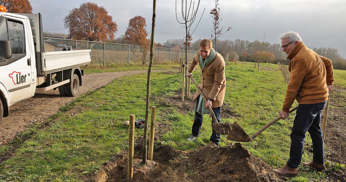 Uitbreidingsplannen voor herdenkingsbos in Lier; “Er werd wellicht ...