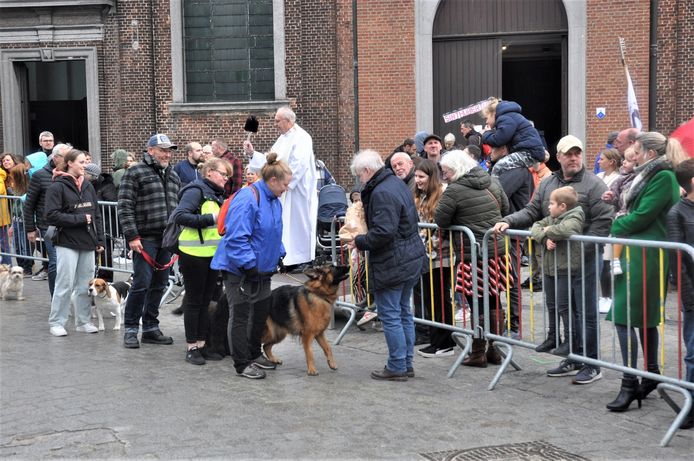 Viervoeters laten zich zegenen op Sint-Hubertusviering | Niel | hln.be