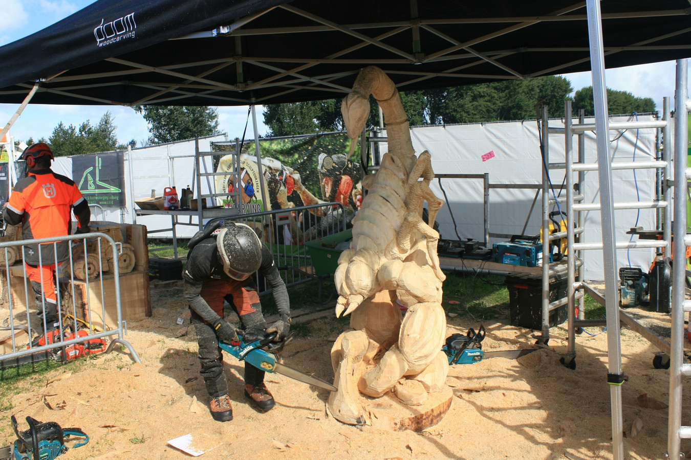 Sander Boom maakt de mooiste figuren van stukken hout: ‘Ik ga voor de ...