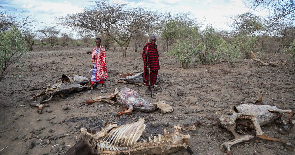 Ruim twee miljard euro ingezameld om hongersnood in Hoorn van Afrika te ...