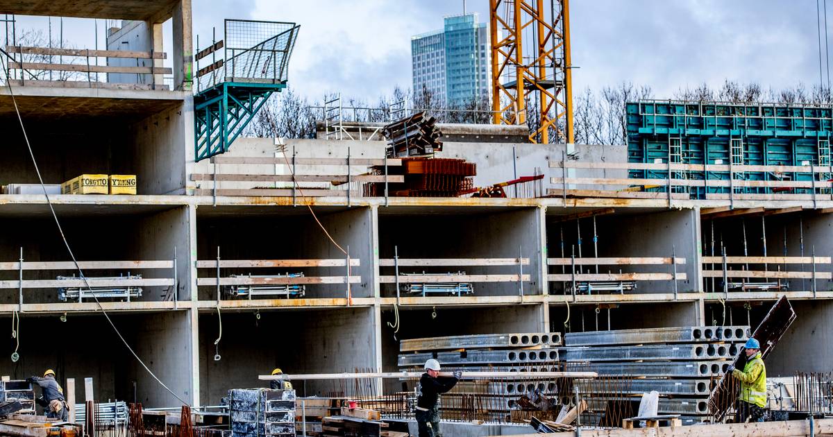 Meer jonge stellen blijven in de stad wonen | Rotterdam | AD.nl