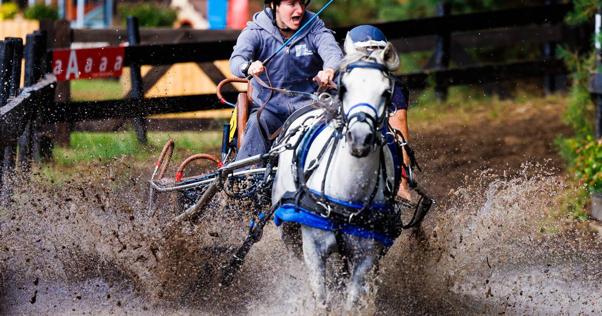 ‘t Menneke bij het mennen is al een grote meneer: ‘Ik win nogal eens ...