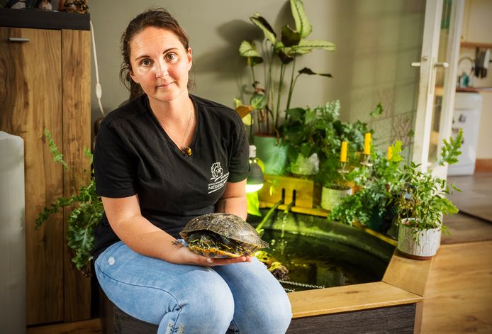 Annabel waakt over de Schiedamse schildpadden, maar dat wordt haar niet ...