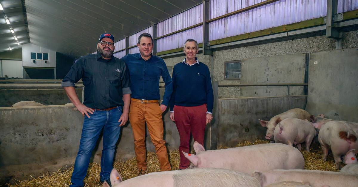 Cathem varken, exclusief biologisch varkenvlees van het Hof te Kattem ...