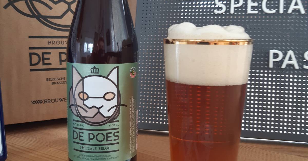 Brouwerij De Poes lanceert ‘De Poes Speciale Belge’: “Op en top ...