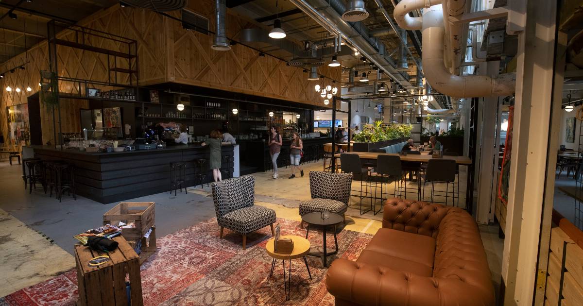 Cultuur snuiven naast het bestuurlijk hart van Zevenaar: een dagje in ...