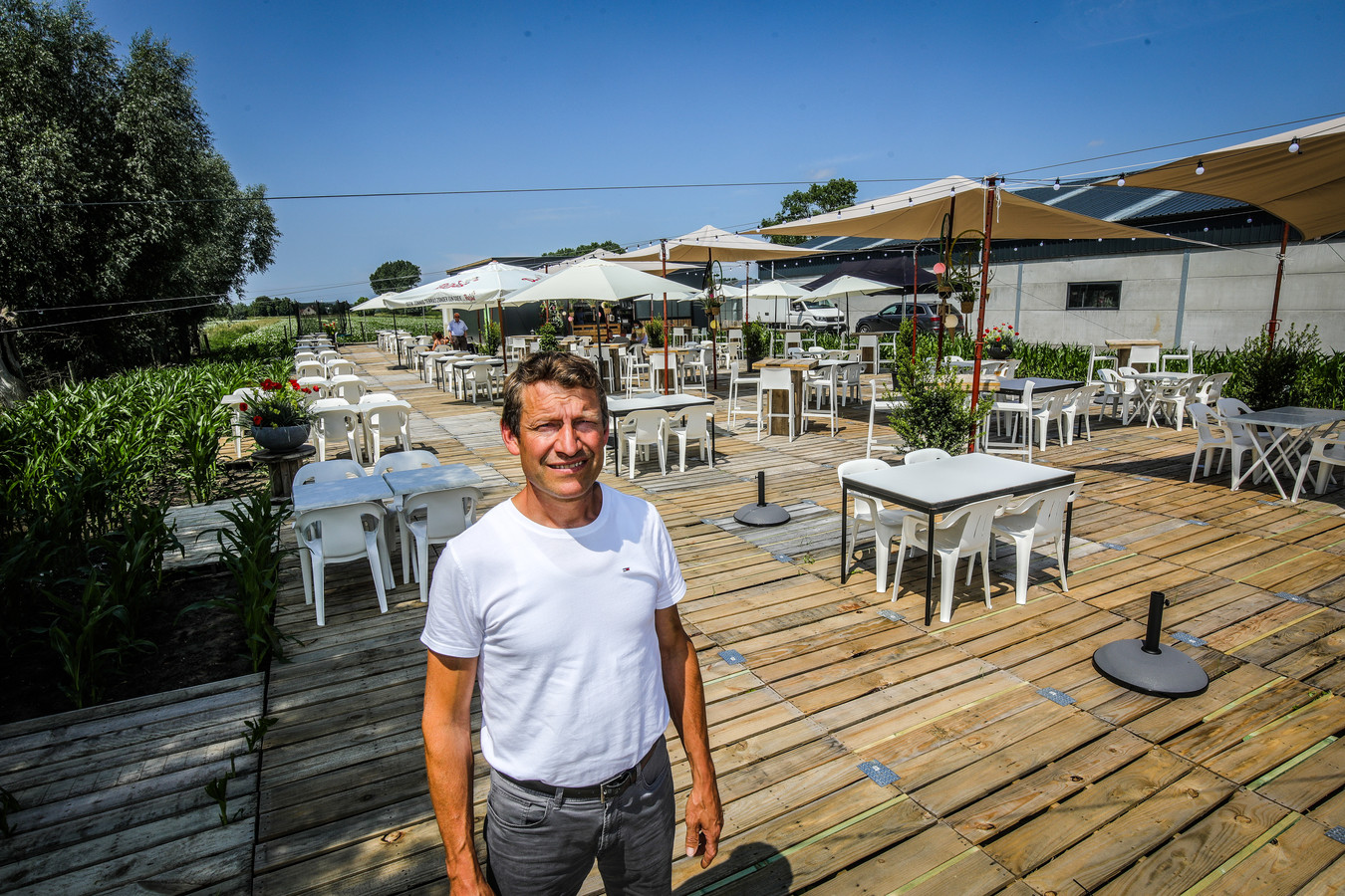 Culinaire zomerbar D.ust verrijst tussen de maïsvelden langs Groene 62 ...
