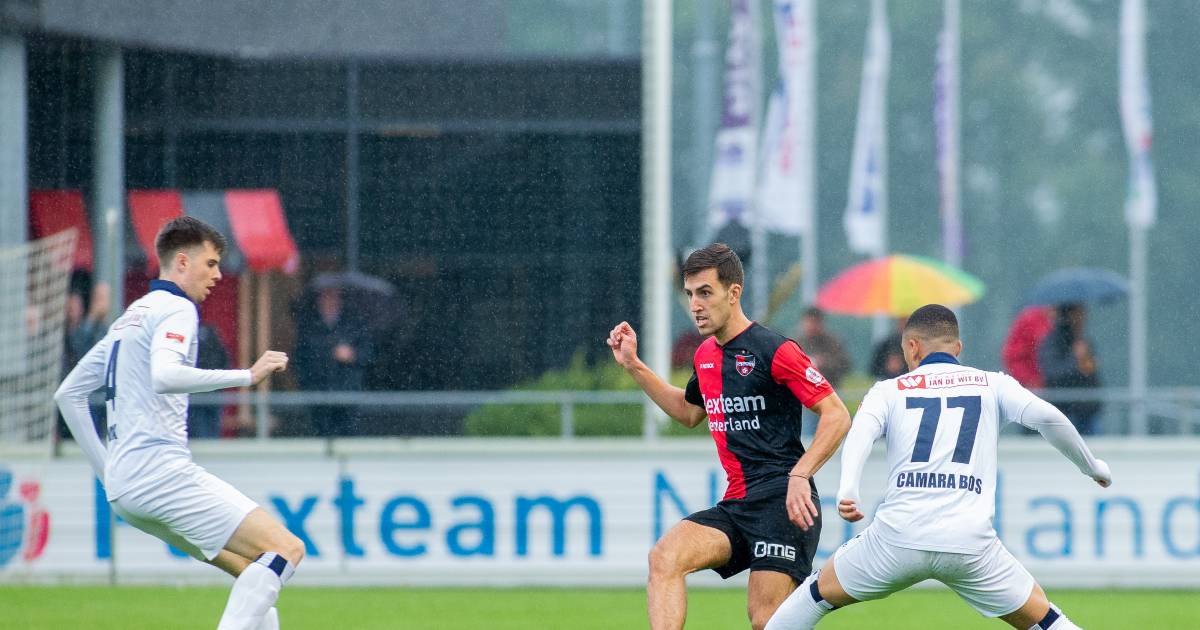 Daan van Hees wil bij De Treffers kunststukje herhalen: ‘Elk jaar ...