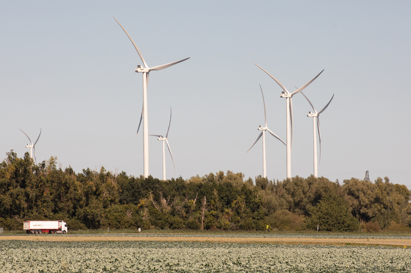 Zó gaat het verder met fel besproken plan voor twee nieuwe windmolens ...