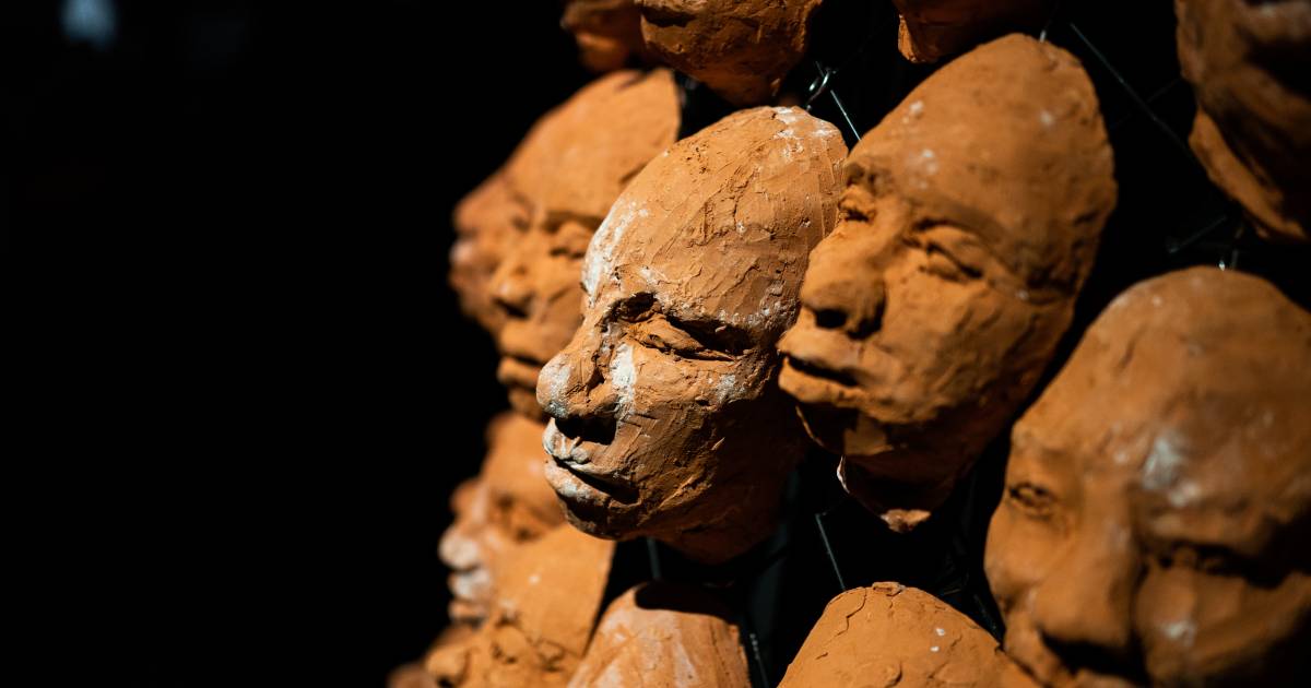 Dappere helden Anton en Anansi in Focus Filmtheater Arnhem en ...