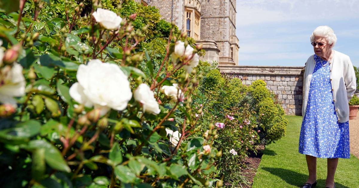 Queen Elizabeth plant roos om verjaardag prins Philip te herdenken ...
