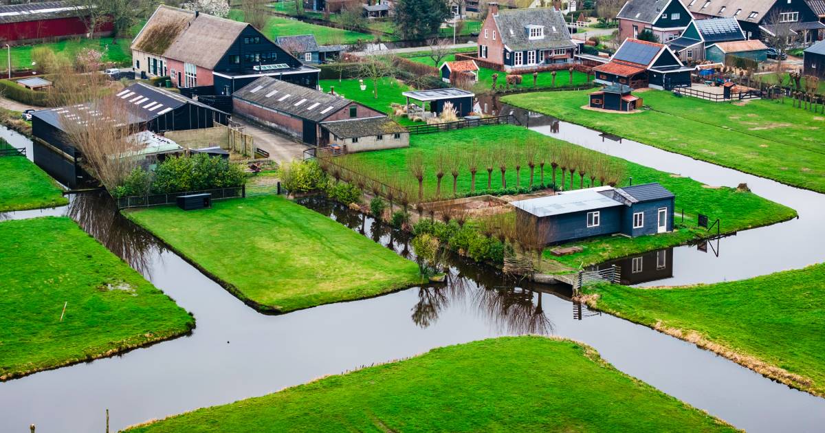 Peter woont al jaren zorgeloos én illegaal in de polder, nu moet zijn ...