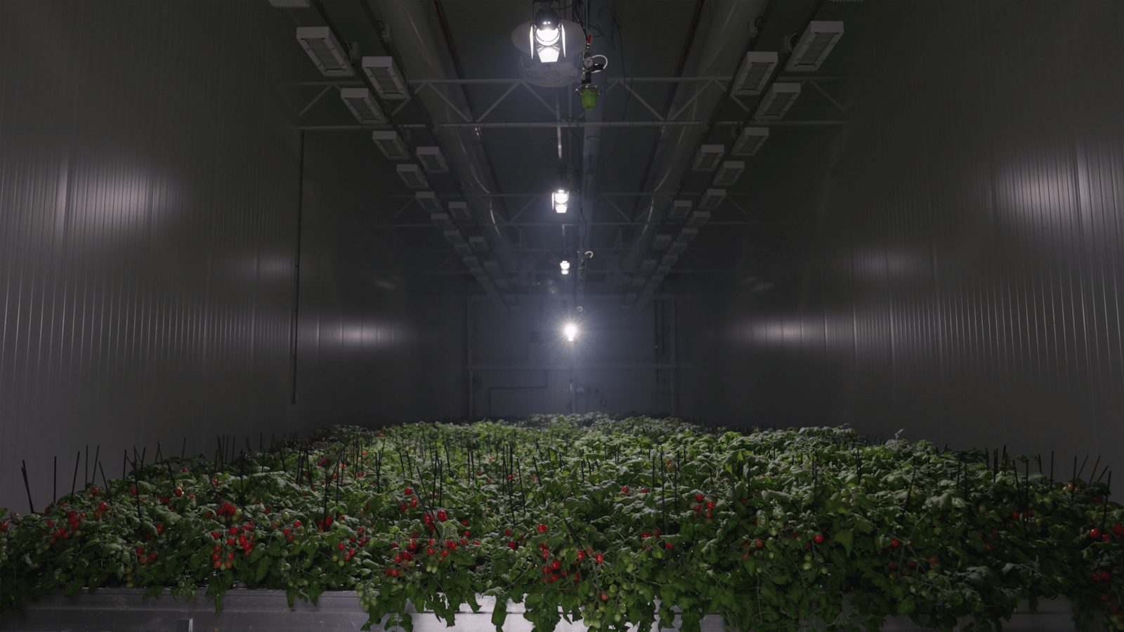 Unieke samenwerking Certhon en DENSO: ‘Zij brengen robots en data in ...