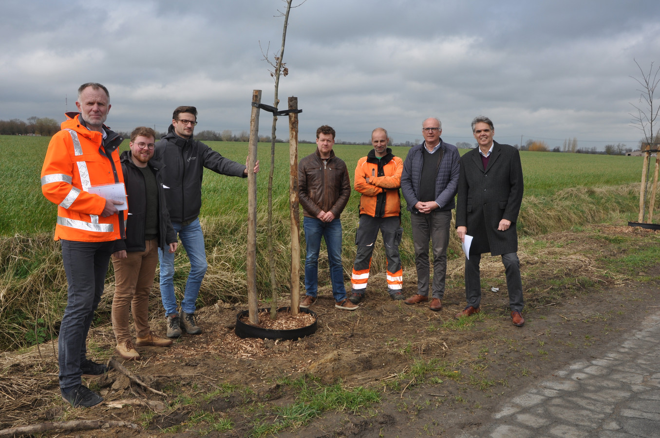 Vijftien ‘vermoorde’ bomen zijn vervangen door twintig nieuwe | Foto ...