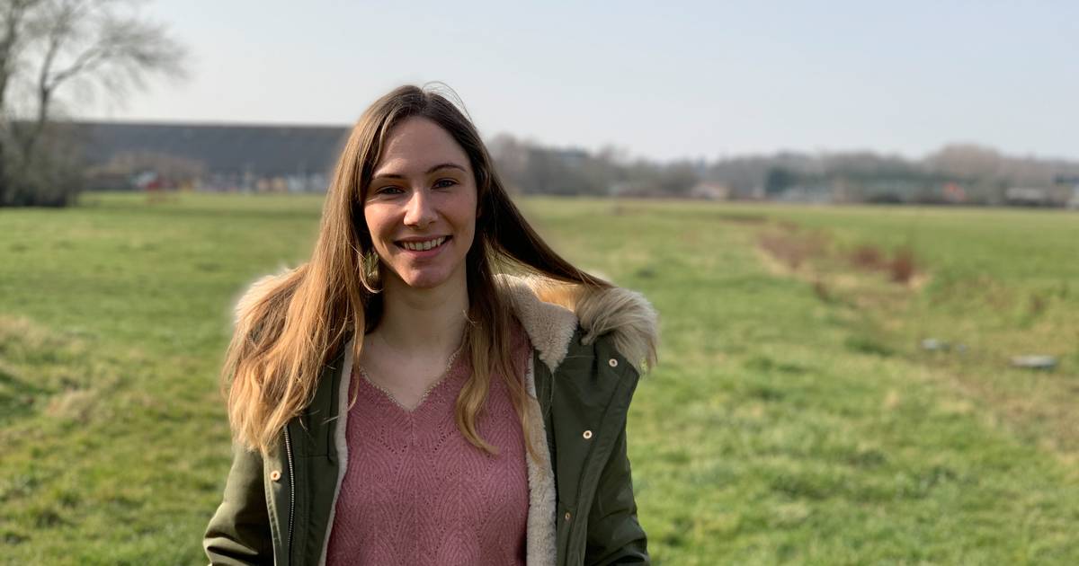Zo bespaart de stad Vilvoorde op energie: temperatuur omlaag, nieuw ...