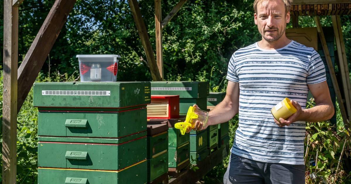 Imker Bart dringt aan op meer ondersteuning voor aanpak van Aziatische ...
