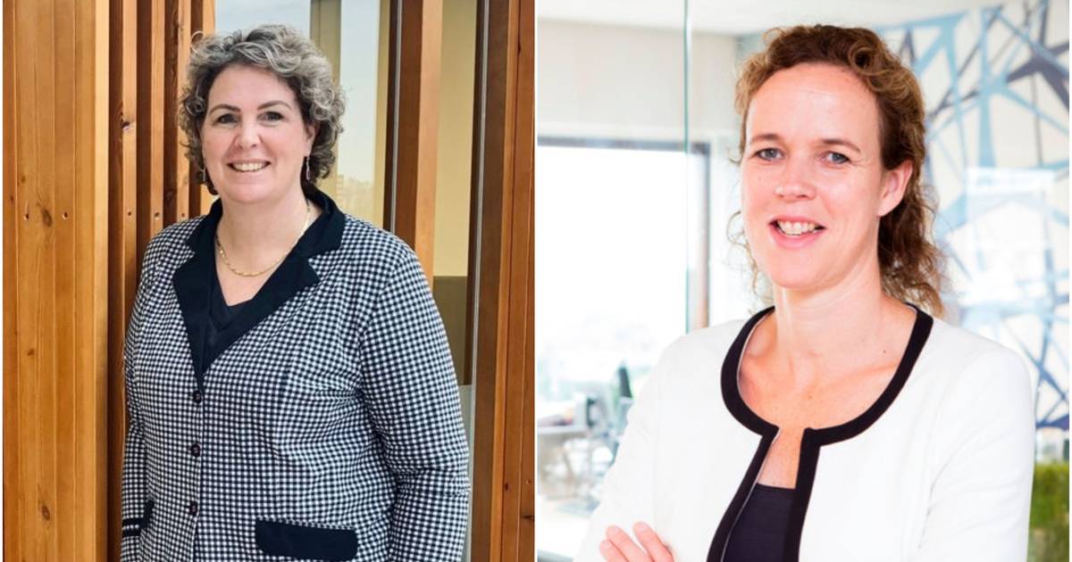 Miriam Vollenbroek en Joyce Berger worden bestuurder bij MST | Enschede ...