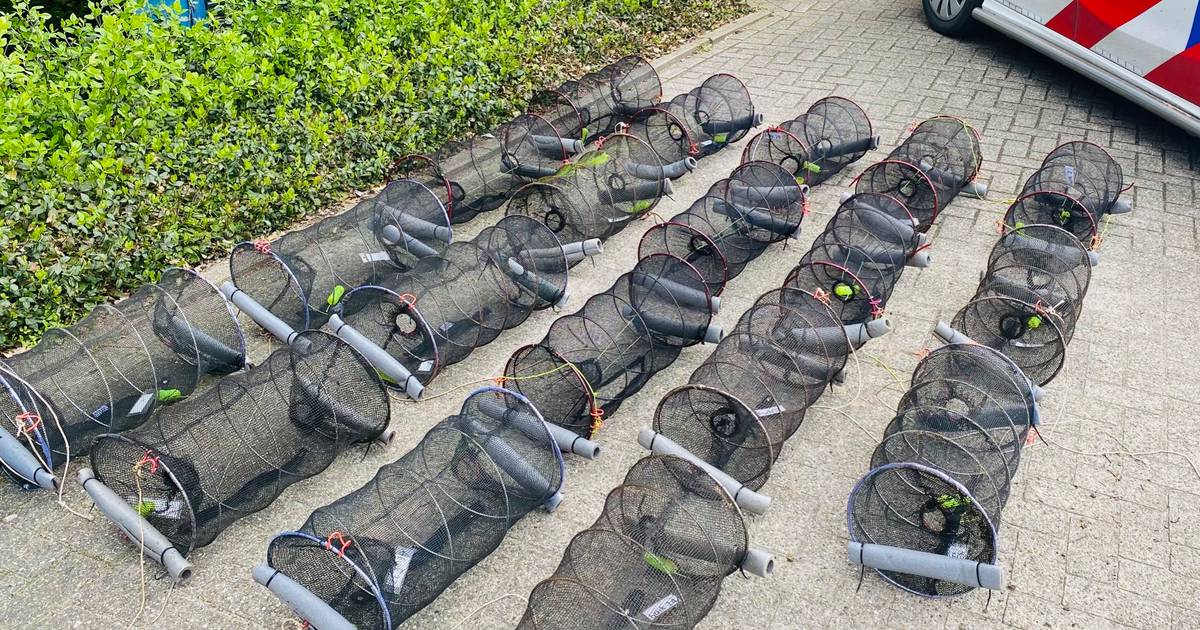 Man in Waalre gesnapt: illegaal in bezit van tientallen fuiken ...