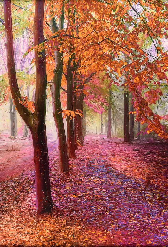Het bos komt tot leven op de schilderijen van Tos Kostermans, nu te ...