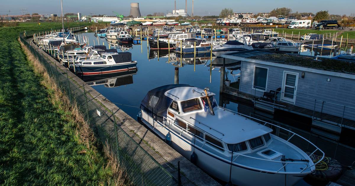 Plan voor zestig woningen op terrein van jachthaven Dok 12 in ...