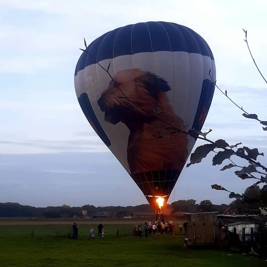 Luchtballon crasht bijna tegen huis bij Duits-Nederlandse grens: “Pas ...