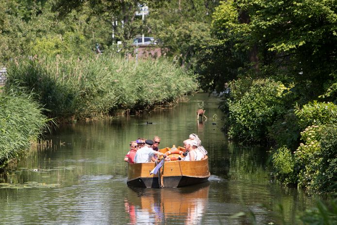Verkoeling met fluisterboten op de Berkel in Zutphen | Zutphen | AD.nl