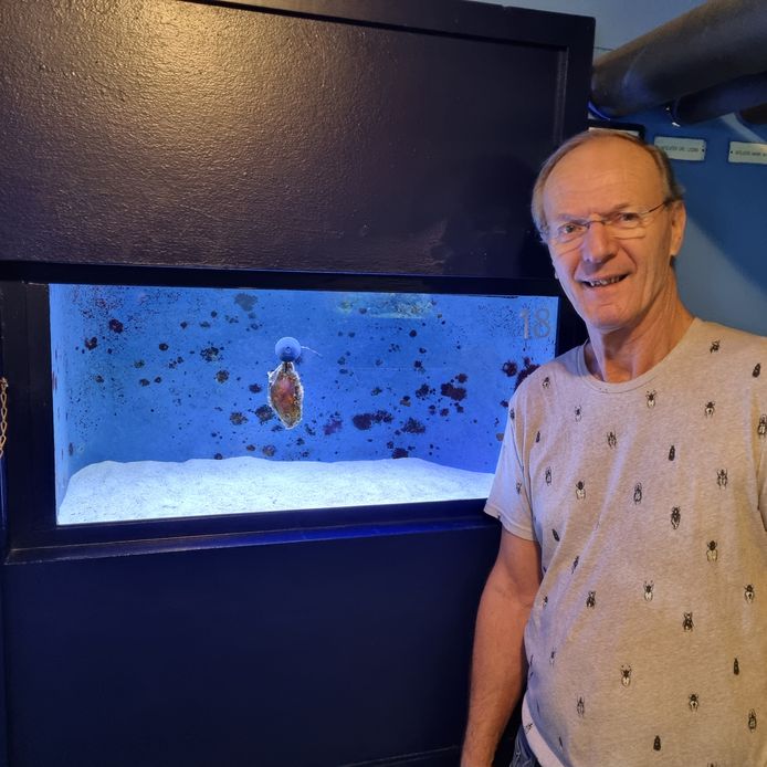 In de Leerdamse AquaZoo groeit een haaitje in een ei, en bezoekers ...