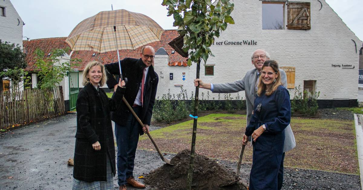 Boetiek, kunstzolder en kleinste café van De Pinte: Hof ter Groene Walle krijgt nieuwe invulling ...