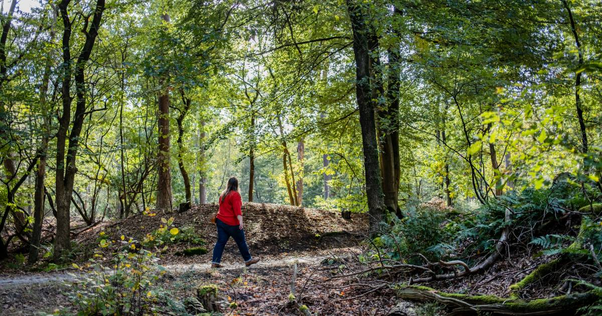 Met het Bos van Oss moet de stad een nieuwe groene long krijgen, maar ...