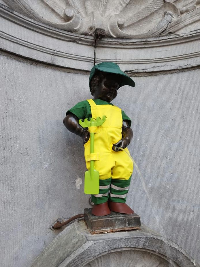 Tweede editie van Week van de Boom van start | Brussel | hln.be