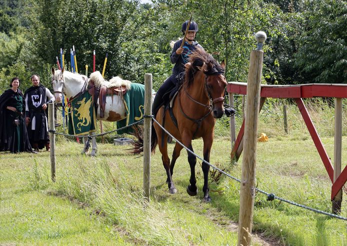 Ridders in opleiding: zwaardvechten, paardentraining en schilden maken ...