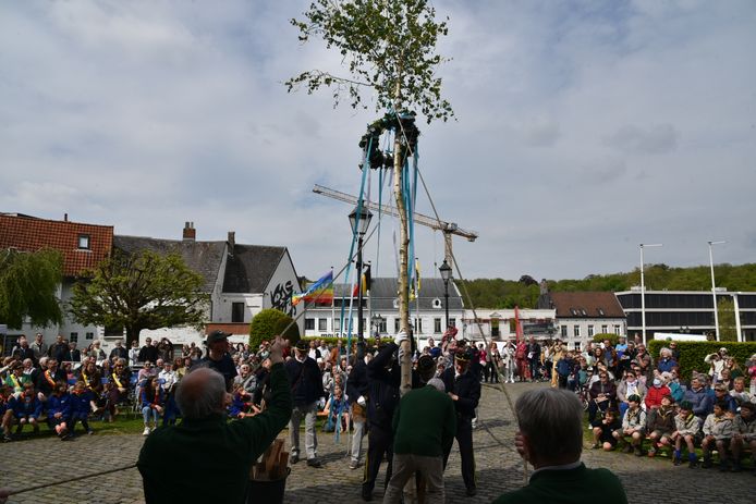 Tervuurse Meiboom is geplant | Brussel | hln.be