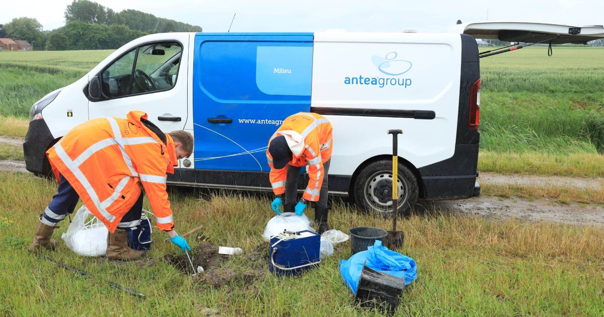 RIVM: vervuilde grond in zeedijk Perkpolder geen risico voor gezondheid ...