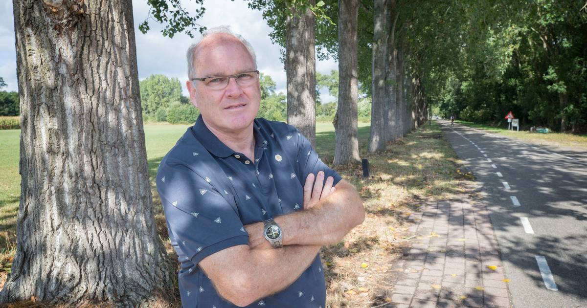 Jan van Kempen wil lange linten van populieren terug in Udenhout ...