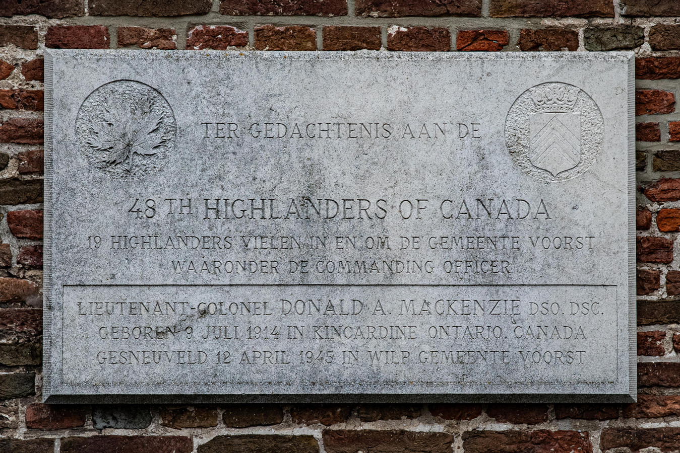 ‘Duitse soldaten’ bezetten Wilp: ‘Ook de Oekraïners zeiden: laat zien ...