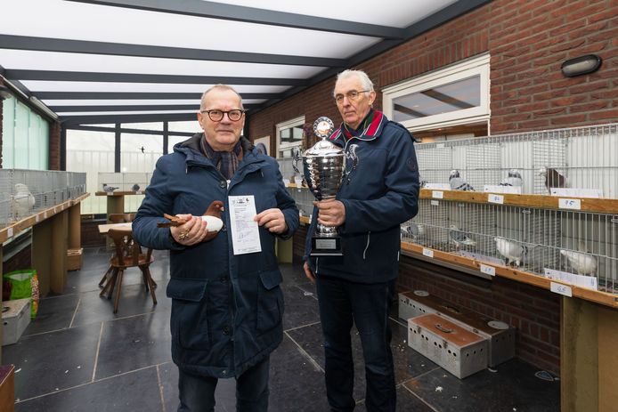 Doffers en duivinnen maken in Rosmalen uit wie de mooiste van ‘Bois le Duc’ is: ‘Duivenmelkers ...