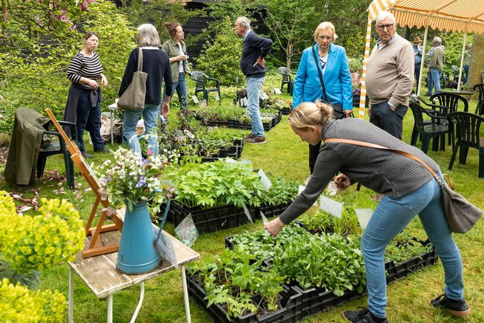 Ze was dringend op zoek naar een meneer, en dat bleek ik te zijn ...