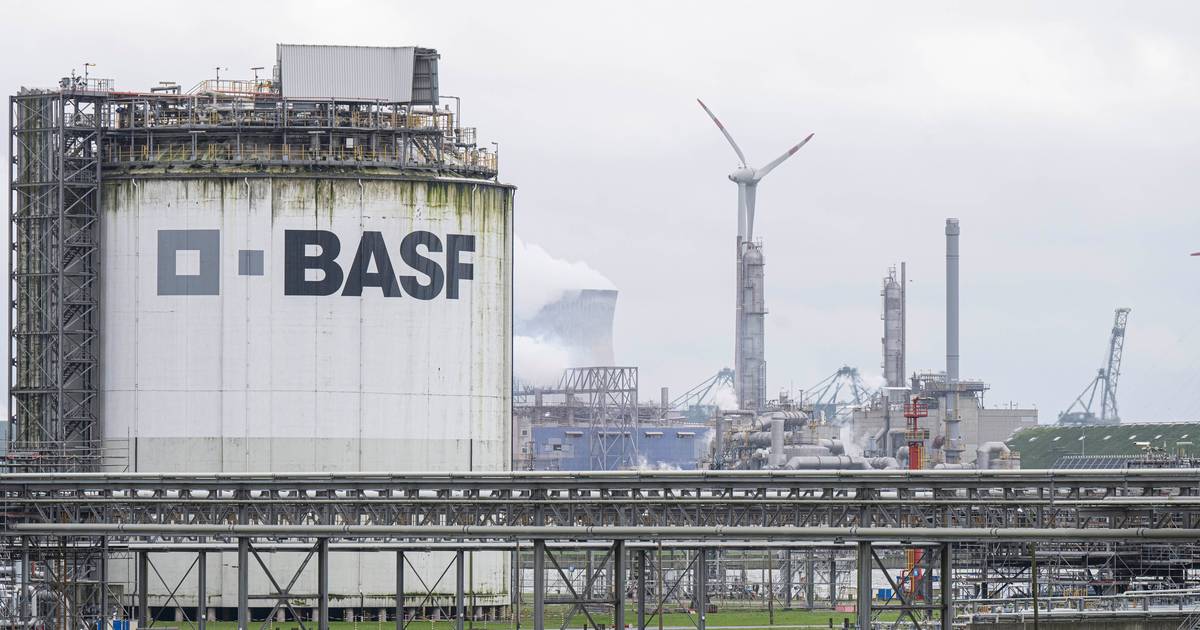 BASF ziet winst en omzet duidelijk stijgen in eerste kwartaal ...